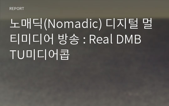 노매딕(Nomadic) 디지털 멀티미디어 방송 : Real DMB TU미디어콥 레포트