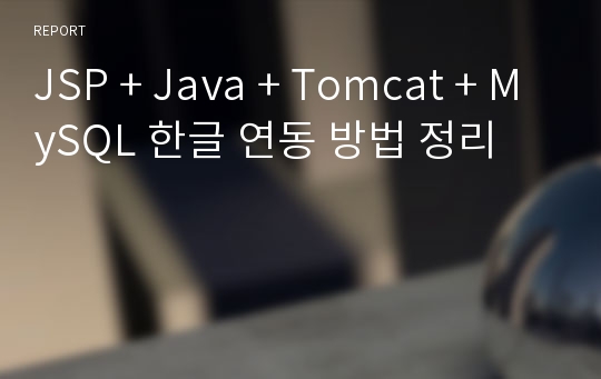 JSP + Java + Tomcat + MySQL 한글 연동 방법 정리 레포트