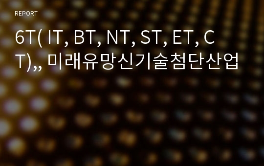 6T( IT, BT, NT, ST, ET, CT),, 미래유망신기술첨단산업 레포트