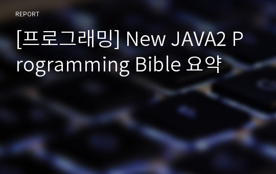 [프로그래밍] New JAVA2 Programming Bible 요약 레포트