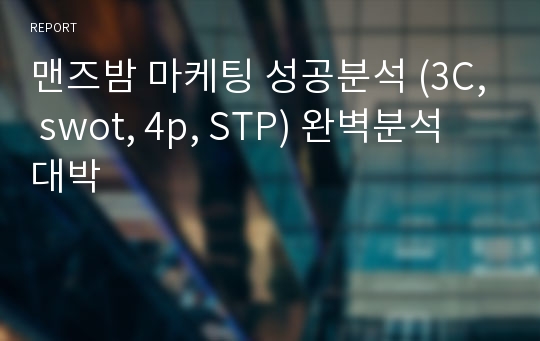 맨즈밤 마케팅 성공분석 (3C, swot, 4p, STP) 완벽분석 대박 레포트