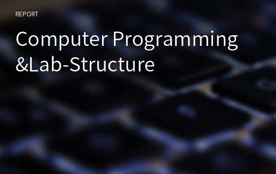 Computer Programming&Lab-Structure 레포트