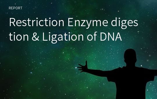 Restriction Enzyme digestion & Ligation of DNA 레포트
