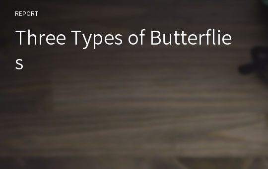 Three Types of Butterflies 레포트