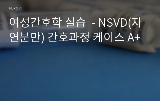 여성간호학 실습 - NSVD(자연분만) 간호과정 케이스 A+ 레포트