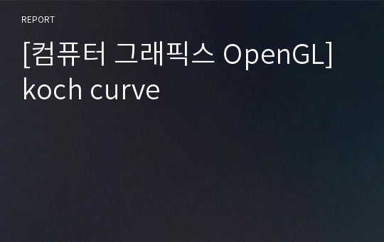 [컴퓨터 그래픽스 OpenGL] koch curve 레포트