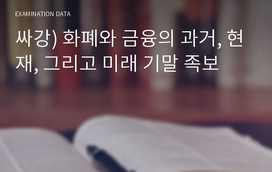 싸강 화폐와 금융의 과거 현재 그리고 미래 기말 족보 시험자료