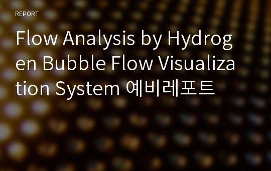Flow Analysis by Hydrogen Bubble Flow Visualization System 예비레포트 레포트