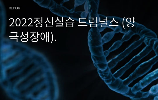 2022정신실습 드림널스 양극성장애 레포트