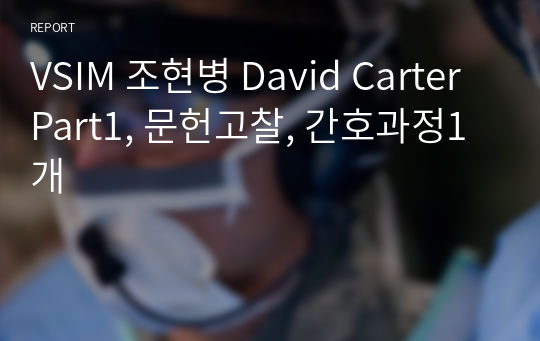 Vsim 조현병 David Carter Part1 문헌고찰 간호과정1개 레포트