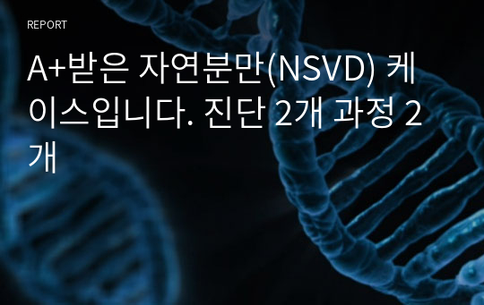 A+받은 자연분만(NSVD) 케이스입니다. 진단 2개 과정 2개 레포트