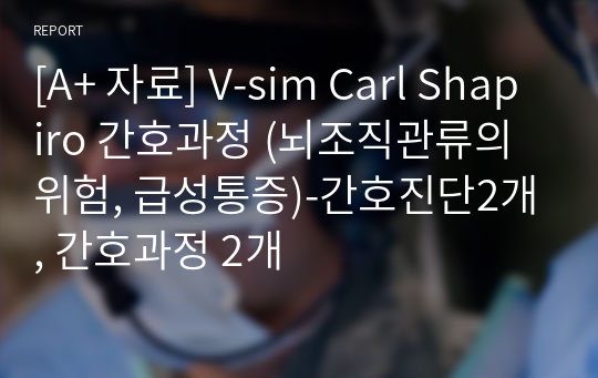 A 자료 V Sim Carl Shapiro 간호과정 뇌조직관류의 위험 급성통증 간호진단2개 간호과정 2개 레포트