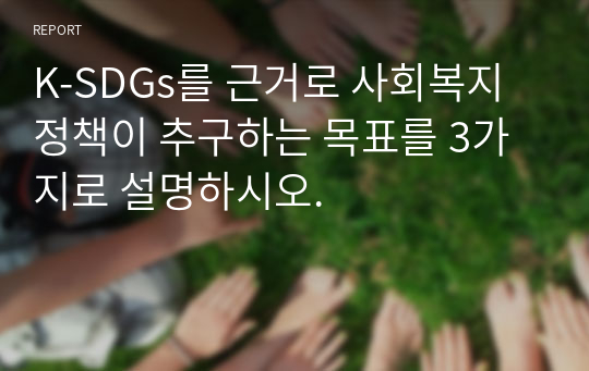 K-SDGs를 근거로 사회복지정책이 추구하는 목표를 3가지로 설명하시오. 레포트