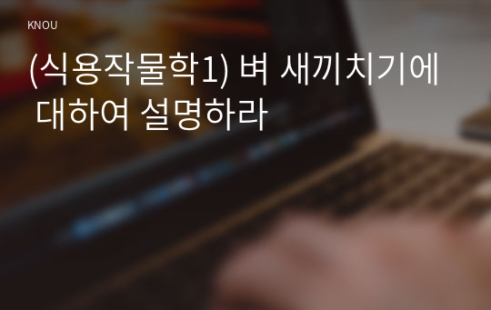 식용작물학1 벼 새끼치기에 대하여 설명하라 방송통신대