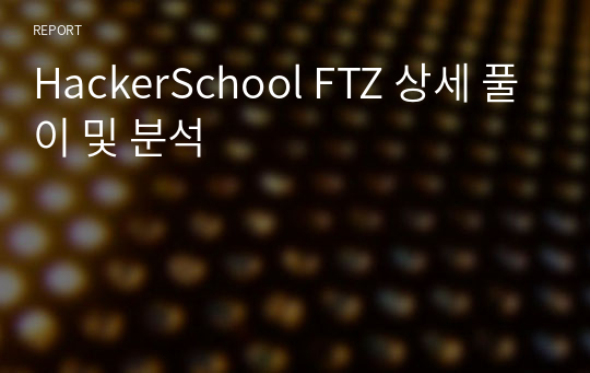HackerSchool FTZ 상세 풀이 및 분석 레포트