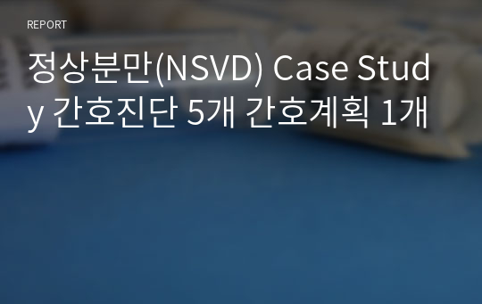 정상분만(NSVD) Case Study 간호진단 5개 간호계획 1개 레포트