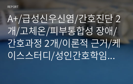 A급성신우신염간호진단 2개고체온피부통합성 장애간호과정 2개이론적 근거케이스스터디성인간호학임상실습 레포트