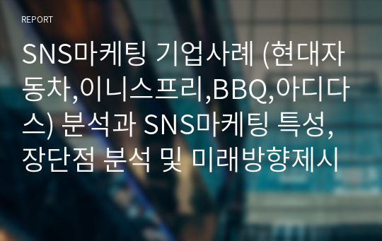 SNS마케팅 기업사례 (현대자동차,이니스프리,BBQ,아디다스) 분석과 SNS마케팅 특성,장단점 분석 및 미래방향제시 레포트