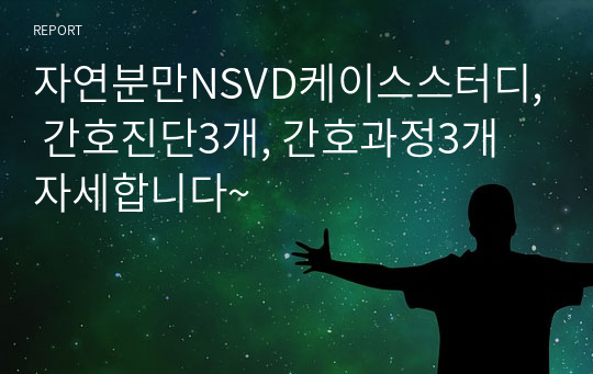 자연분만NSVD케이스스터디, 간호진단3개, 간호과정3개 자세합니다~ 레포트