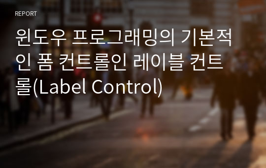 윈도우 프로그래밍의 기본적인 폼 컨트롤인 레이블 컨트롤(Label Control) 레포트