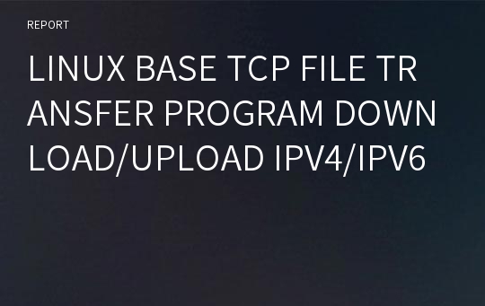 LINUX BASE TCP FILE TRANSFER PROGRAM DOWNLOAD/UPLOAD IPV4/IPV6 레포트