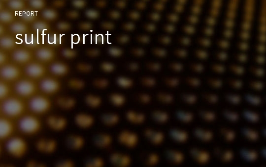 sulfur print 레포트