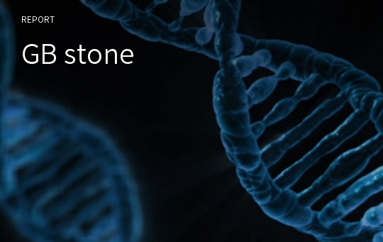 GB stone 레포트